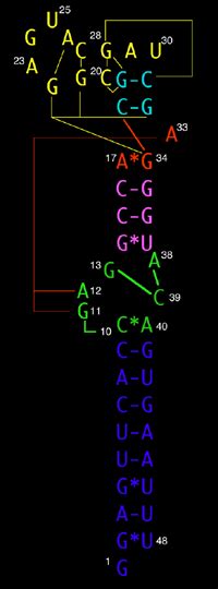 Sars S2m Rna