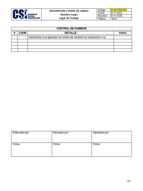 Formato Descriptor De Cargo Iso Pdf Valores