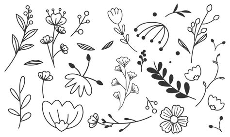 Hand Drawn Flower Designs