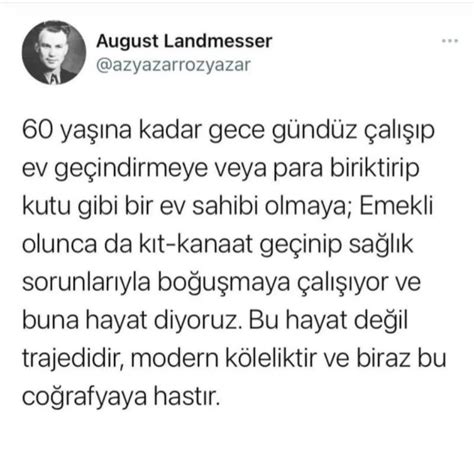 Cennet Macit Posted On Linkedin