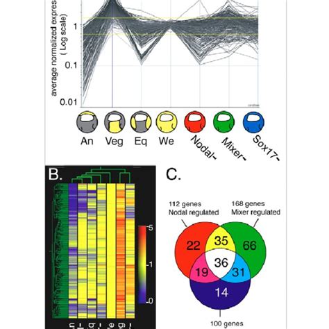 Predicted Regulation Of Endoderm Enriched Transcripts By Nodal