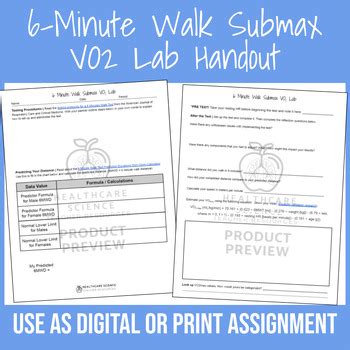6 Minute Walk Submax VO2 Lab Handout EDITABLE TPT