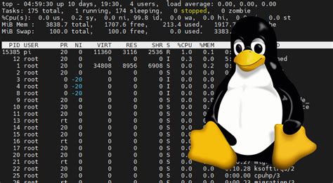 How To Use The Usermod Command In Linux Pi My Life Up