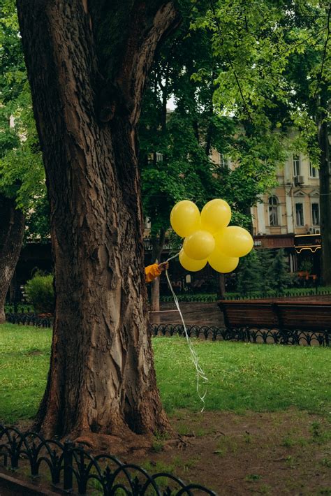 Spring Season Birthday Decoration Ideas With Balloons Balloon