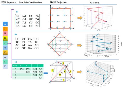 Overview And Prospects Of Dna Sequence Visualization