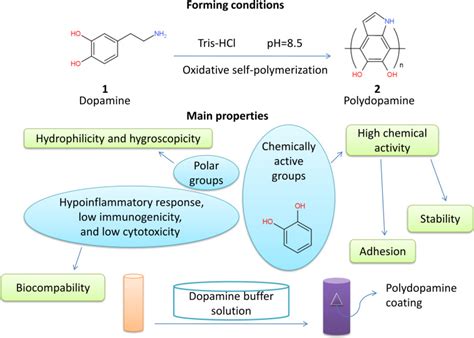 Applications Of Polydopamine Modified Scaffolds In The Peripheral Nerve