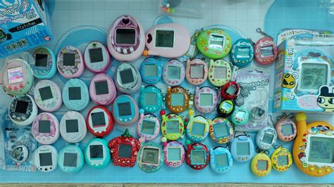 Lazy Collection Pic Rtamagotchi
