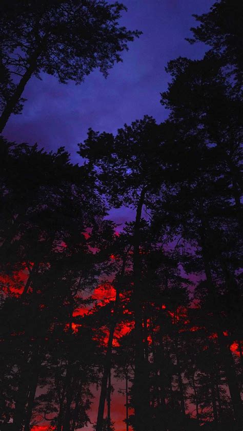 Cloudy Trees Iphone Wallpaper Hd Iphone Wallpapers Iphone