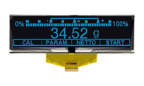 OLED DATA MODUL