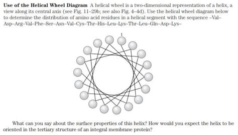 [solved] Use Of The Helical Wheel Diagram A Helica Solutioninn