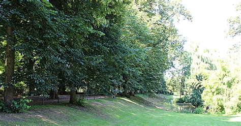 독일 뮌스터 자전거고속도로 옆 습지