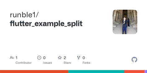 Github Runble1flutterexamplesplit