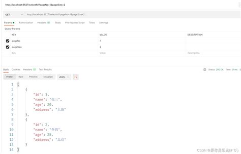 Springboot集成pagehelper 分页插件 Csdn博客