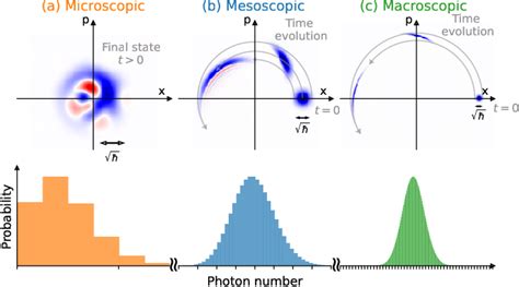Figure 2 From Mesoscopic Ultrafast Nonlinear Optics—the Emergence Of Multimode Quantum Non