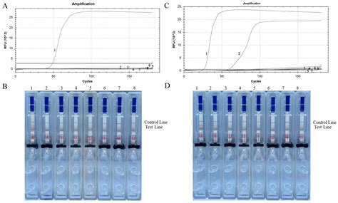 Tropicalmed Free Full Text Rapid Discriminative Identification Of The Two Predominant