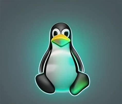 linux 10 essential tips and tricks to boost confidence part 1 by