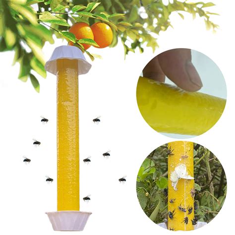 zhuitw home bug sticky traps non toxic bait sticky trap for flies gnats