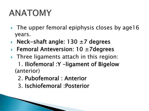 Proximal Femur Fractures With Nof And It Ppt