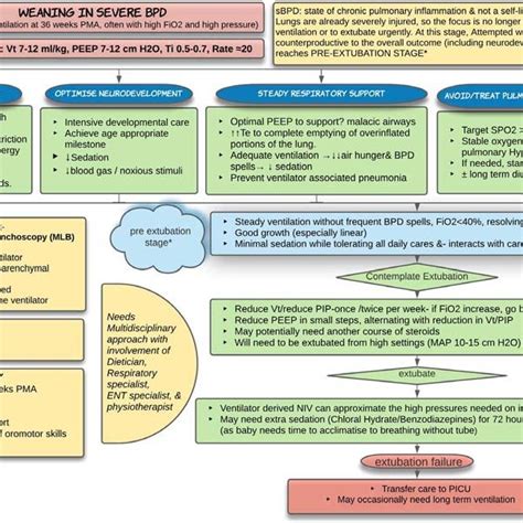 Weaning Algorithm When On Pressure Controlled Ventilation Download Scientific Diagram