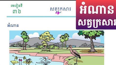 មេរៀនទី៣៦ សត្វក្រសារ Youtube