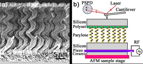 A Cross Section Sem Image Of The Parylene C Microspirals B Download Scientific Diagram