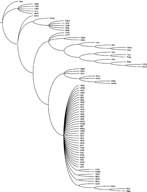 Strict Consensus Tree Of The Parsimony Analysis Hea Polymorphic