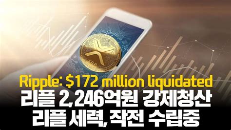 리플 2246억원 강제 청산 리플 세력의 새 판 짜기” Youtube