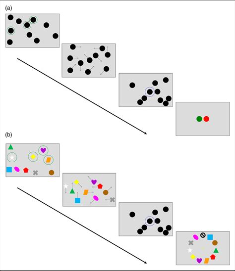 Figure 1 From Gaze Behavior And Cognitive Performance On Tasks Of Multiple Object Tracking And