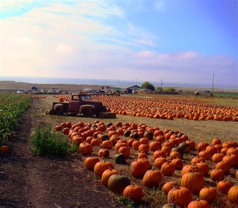 해외통신 할로윈 커스튬 퍼레이드 Halloween Costumes Parade