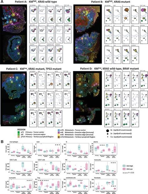 Spatially Resolved Transcriptomics Deconvolutes Prognostic Histological