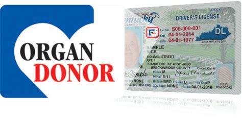 New Ky Drivers Licenses Could Mean Fewer Organ Donors