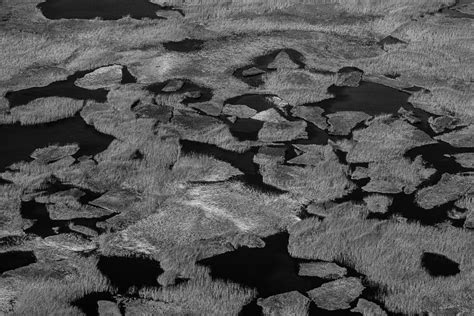 Grassy Patterns Photograph By Ben Adkison Fine Art America