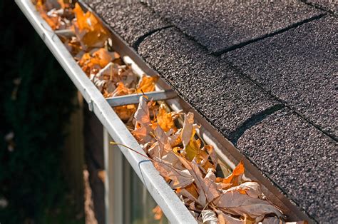Cleaning Your Gutters Van Dyke Home Improvements