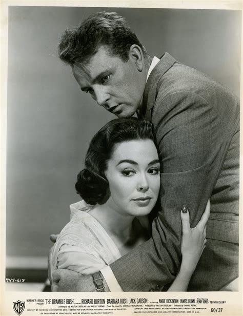 Slice Of Cheesecake Barbara Rush Pictorial