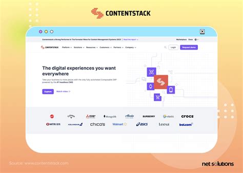 A Comprehensive Review Of The 9 Best Headless Cms For 2025