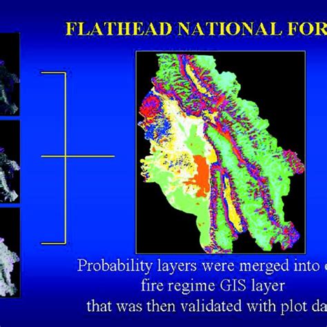 Historical Fire Regimes Mapped For The Conterminous United States Download Scientific Diagram