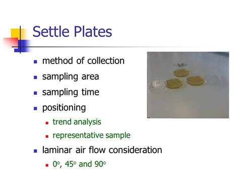 What Is Settle Plate Method At Petra Ward Blog