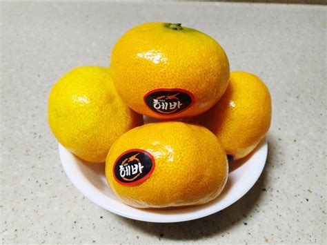 제주도 여행 선물 추천 제주헤바 하우스감귤 여름간식으로 굿~ 네이버 블로그