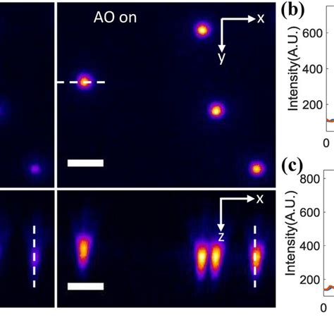 A Imaging Results Of 1 µm Fluorescent Microspheres With And Without