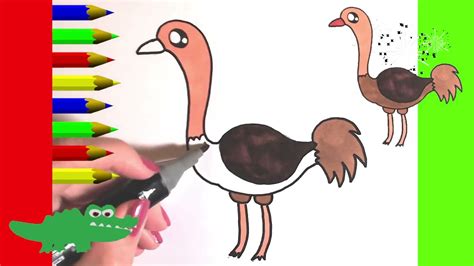 귀여운 그림을 만드는 방법 쉬운 그리기 타조 Youtube