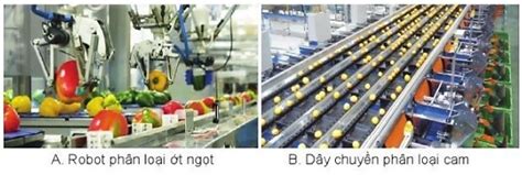 Công nghệ Cánh diều Bài Ứng dụng công nghệ cao trong thu hoạch bảo quản và chế biến sản