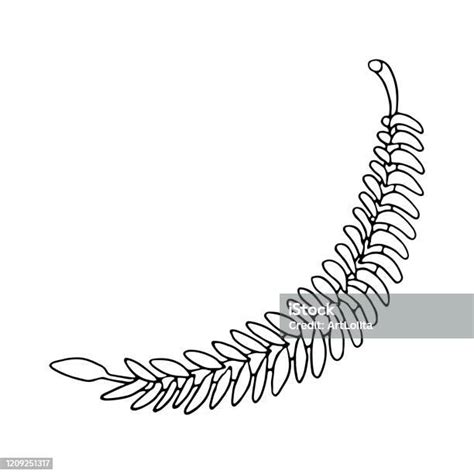 올리브의 에코 분기 흰색 배경에 평화 기호 검은 선 스케치 벡터 낙서 그림입니다 인사말 카드 포스터 스티커에 대한 손으로 그린 요소 검은색에 대한 스톡 벡터 아트 및 기타
