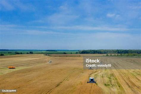 여름에 밀수확 현장에서 일하는 두 개의 수확기 수확기 농기계를 결합하여 밭에서 황금빛 잘 익은 밀을 수집합니다 위에서 볼 수 있습니다 0명에 대한 스톡 사진 및 기타 이미지