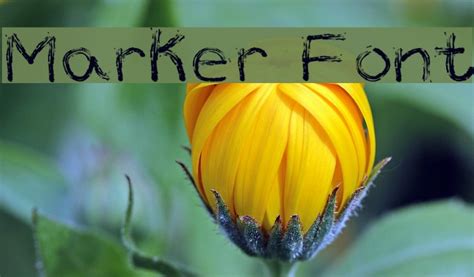 Marker Font Font FFonts Net