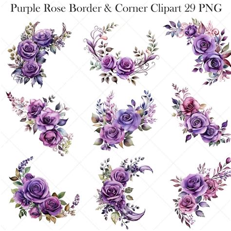 Purple And Pink Roses Png