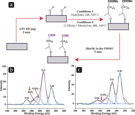 A Reaction Scheme For The Biosic Surface Modification Procedure