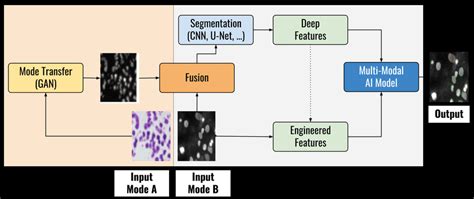 A Cell Segmentation Ensemble Approach In Combination With Generative Download Scientific
