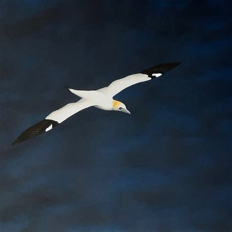 ocean glider philippa bentley turua gallery