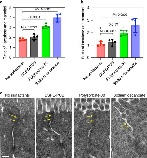 Zwitterionic Micelle Insulin Treatment Did Not Open Intestinal Tight Download Scientific