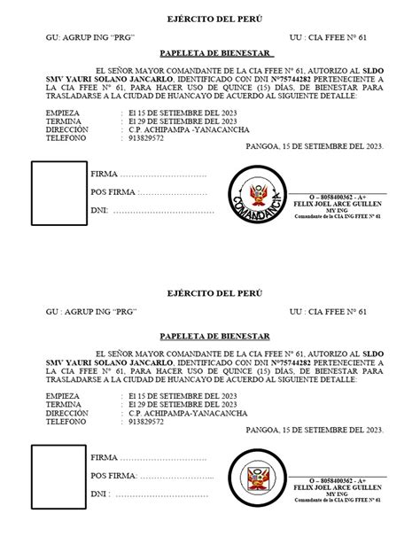 Papeleta Permiso Pdf